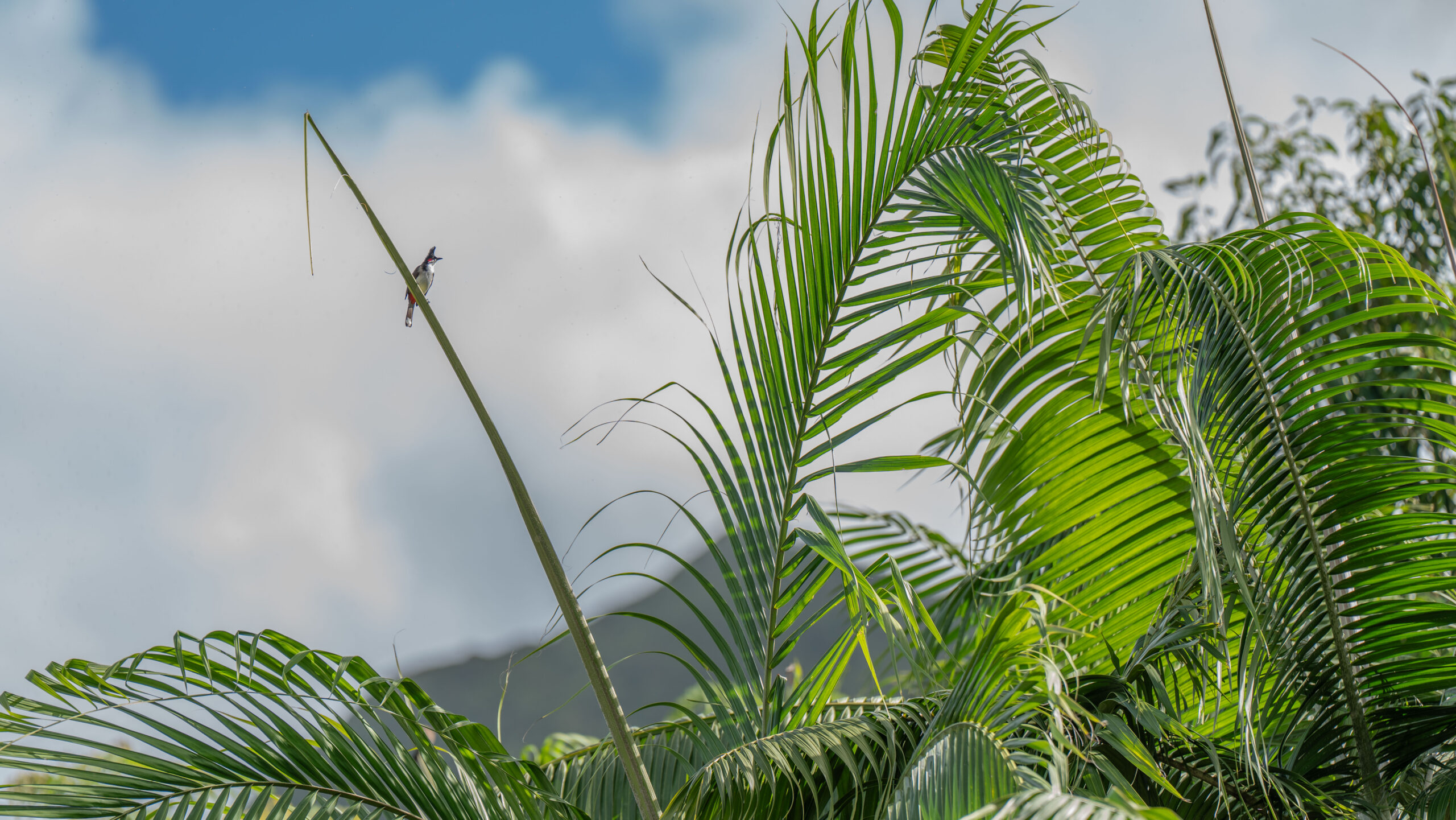 New Awakening – Abhyas MU